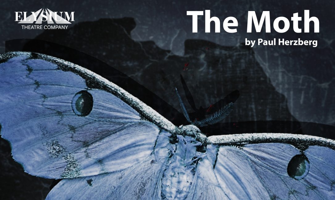 Review: The Moth – JADAR